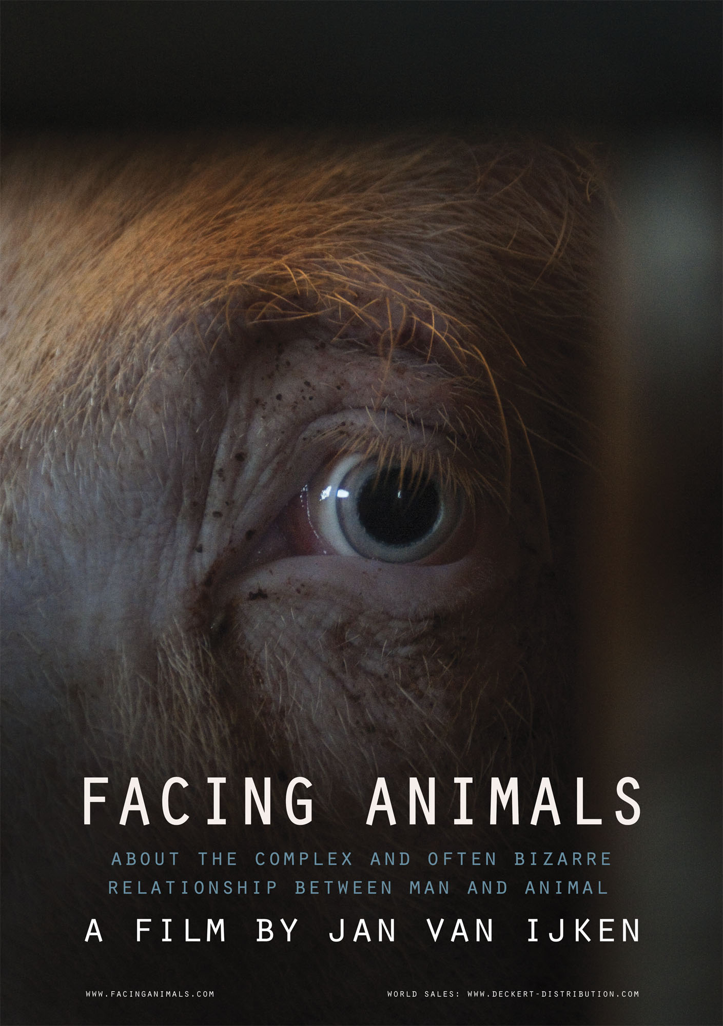 Facing Animals | Jan van IJkenJan van IJken
